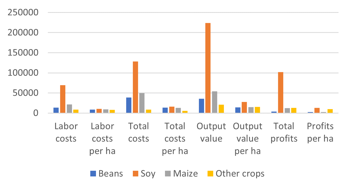 The role of medium-scale farming in rural development in Mozambique ...